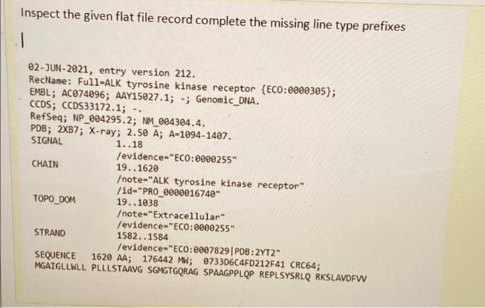 Solved Inspect the given flat file record complete the | Chegg.com