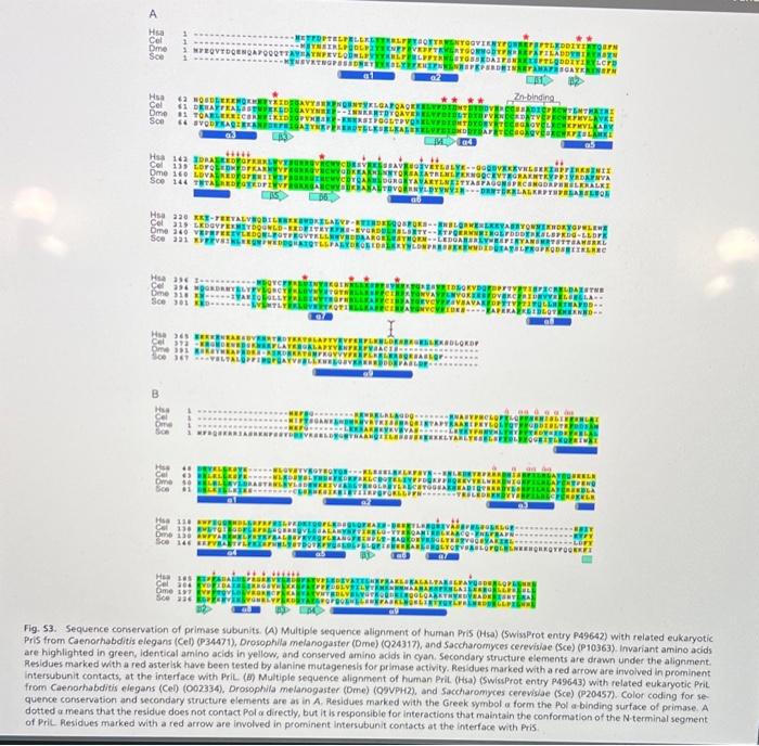 Solved 4. The following questions are about the experiment | Chegg.com