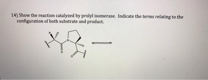 14) Show the reaction catalyzed by prolyl isomerase. | Chegg.com