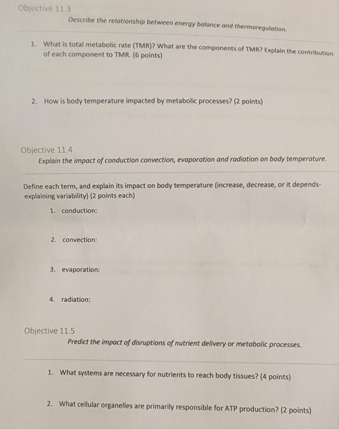 Solved Module 11 Objective Reflection Answer the following | Chegg.com