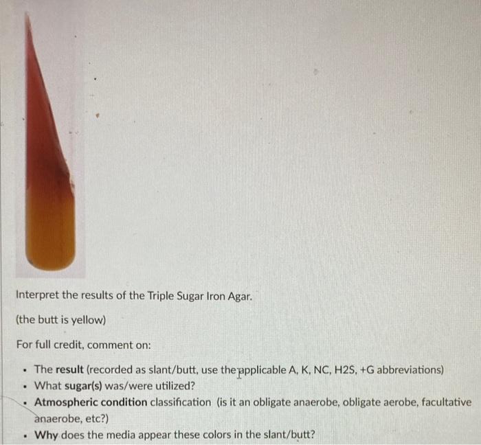 Solved Interpret the results of the Triple Sugar Iron Agar. | Chegg.com