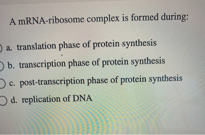 Solved A mRNA-ribosome complex is formed during: a. | Chegg.com