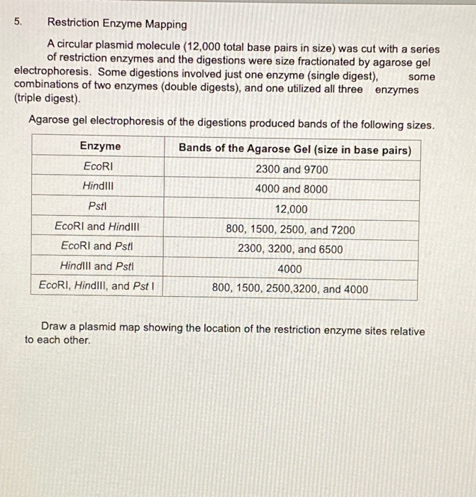Solved 5. Restriction Enzyme Mapping A circular plasmid | Chegg.com