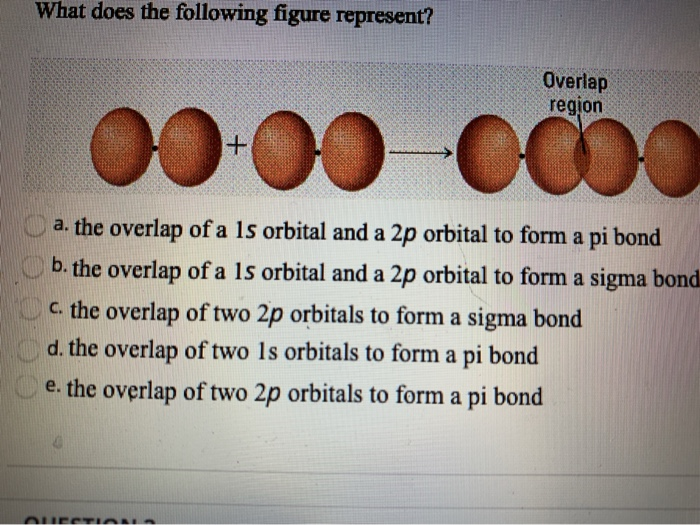 Solved What does the following figure represent? Overlap | Chegg.com