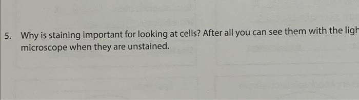 Solved 5. Why is staining important for looking at cells? | Chegg.com