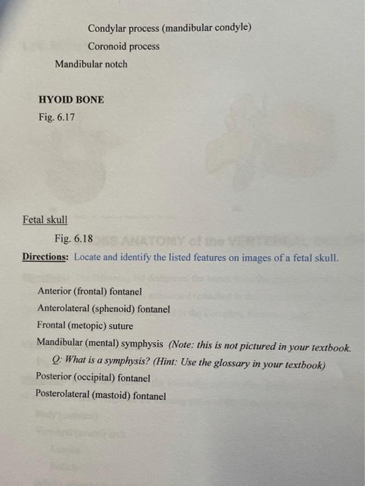 Solved Lab Activities #6-9 AXIAL SKELETON APPENDICULAR | Chegg.com