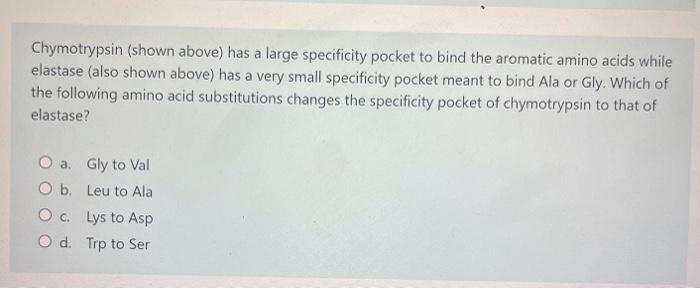 Chymotrypsin (shown above) has a large specificity | Chegg.com