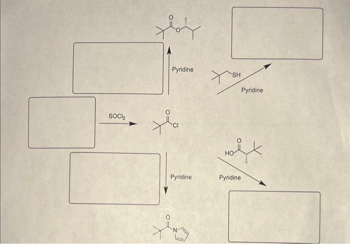 Solved Pyridine SOCl2 | Chegg.com