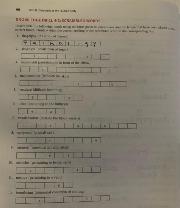 Solved KNOWLEDGE DRILL 4-2; SCRAMBLED WORDS Unscramble the | Chegg.com