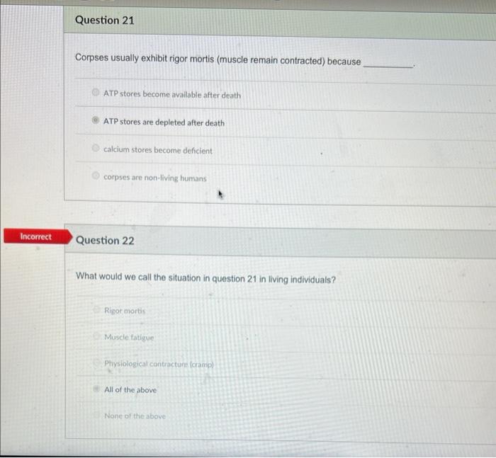 Solved what is the answer for 22, being that all of the | Chegg.com