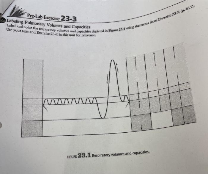 Solved Pre-Lab Exercise 23-3 Labeling Pulmonary Volumes and | Chegg.com
