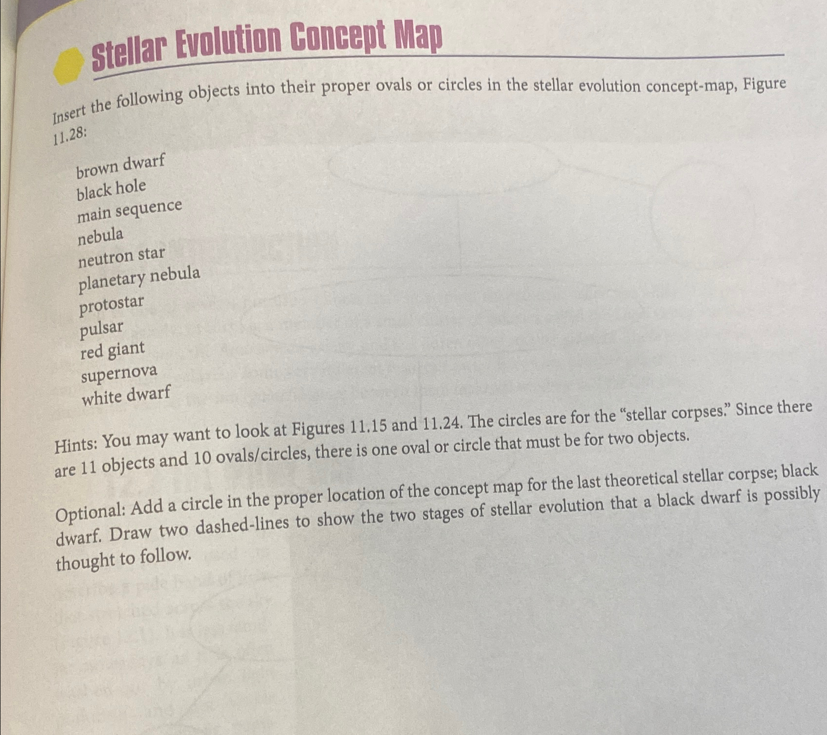 Solved stellar Evolution Concept MapInsert the following | Chegg.com