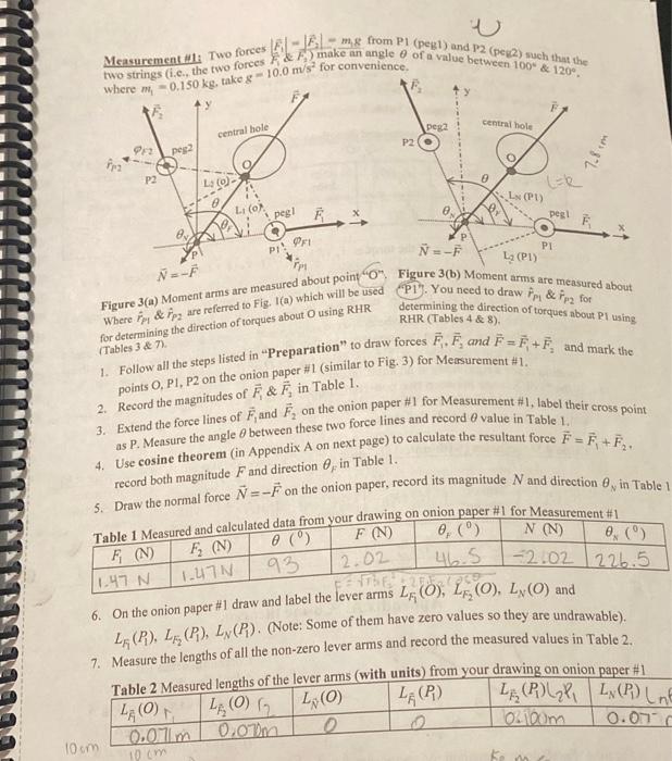 Measurement H1 Two Forces в јf1в ј в јв јf 2в јв ј M1g From P1 Chegg