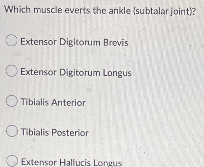 [Solved]: Which muscle plantar flexes the ankle? Extensor D