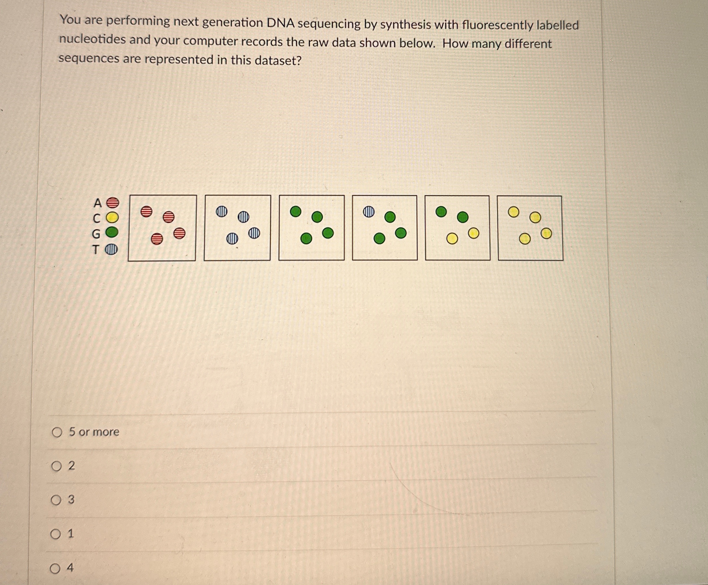 Solved You are performing next generation DNA sequencing by | Chegg.com