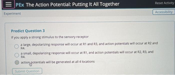 Solved Reset Activity PEx The Action Potential: Putting It | Chegg.com