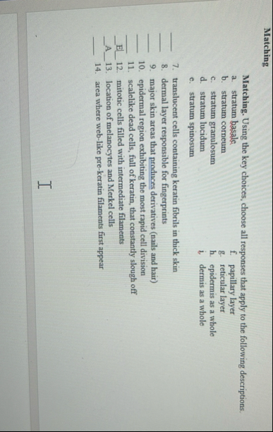 Solved MatchingMatching. Using the key choices, choose all | Chegg.com