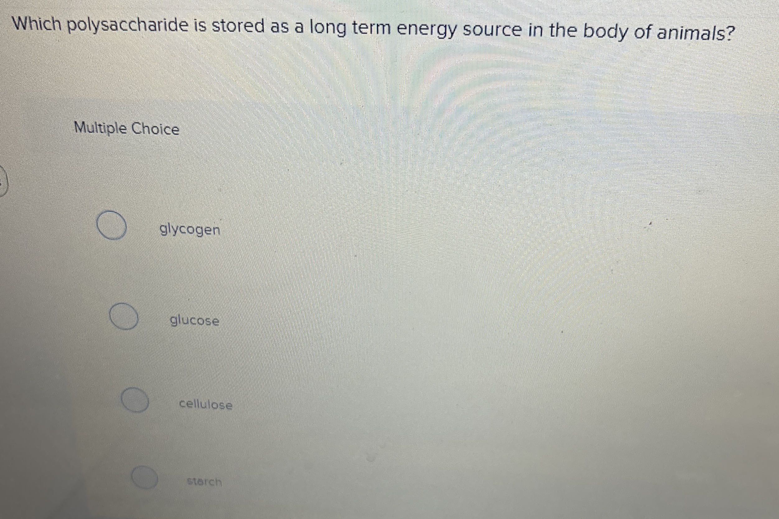 Solved Which polysaccharide is stored as a long term energy | Chegg.com