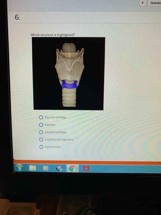 Solved Summer 2019 R51 Resplratory System Question 1 (of 26) | Chegg.com