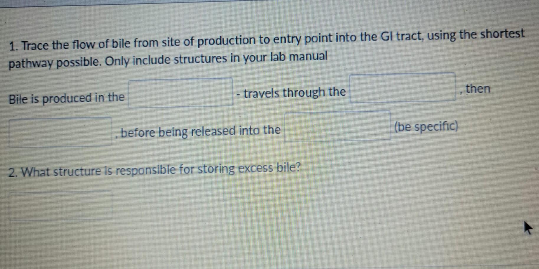 Solved 1. Trace the flow of bile from site of production to | Chegg.com