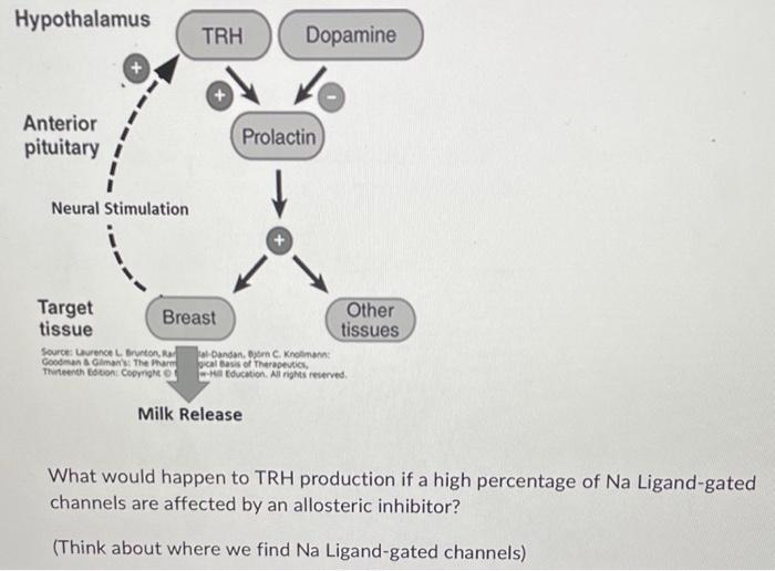 Solved What would happen to TRH production if a high | Chegg.com