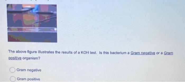 Solved The above figure illustrates the results of a KOH | Chegg.com