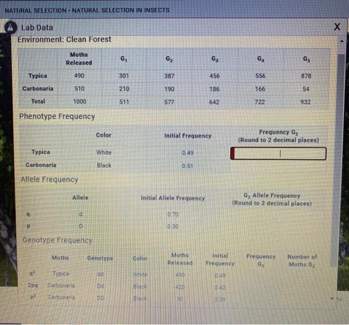 I need help to calculate the frequency G5, G5 Allele | Chegg.com