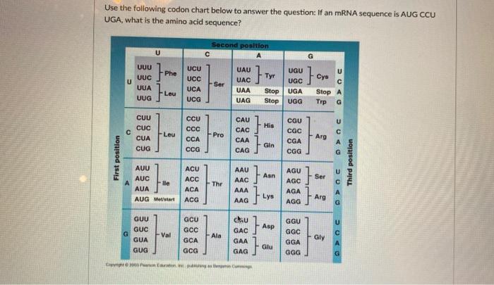 Solved Use the following codon chart below to answer the | Chegg.com