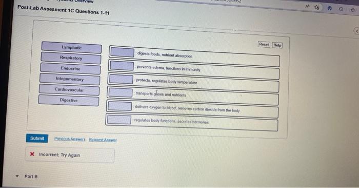 Solved Post-Lab Assesment 1C Questions 1-11 | Chegg.com