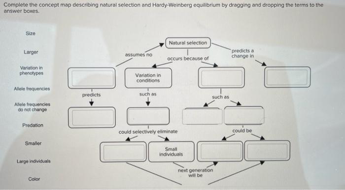 Solved Complete the concept map describing natural selection | Chegg.com