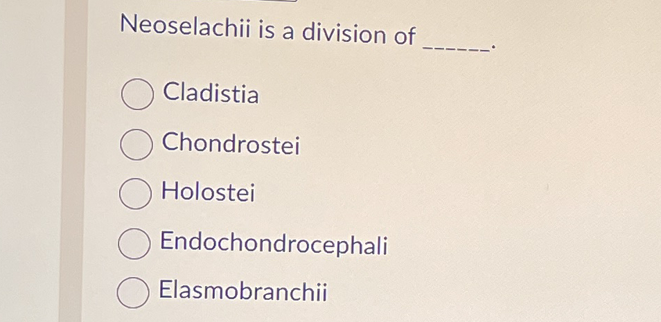Solved Neoselachii is a division of | Chegg.com
