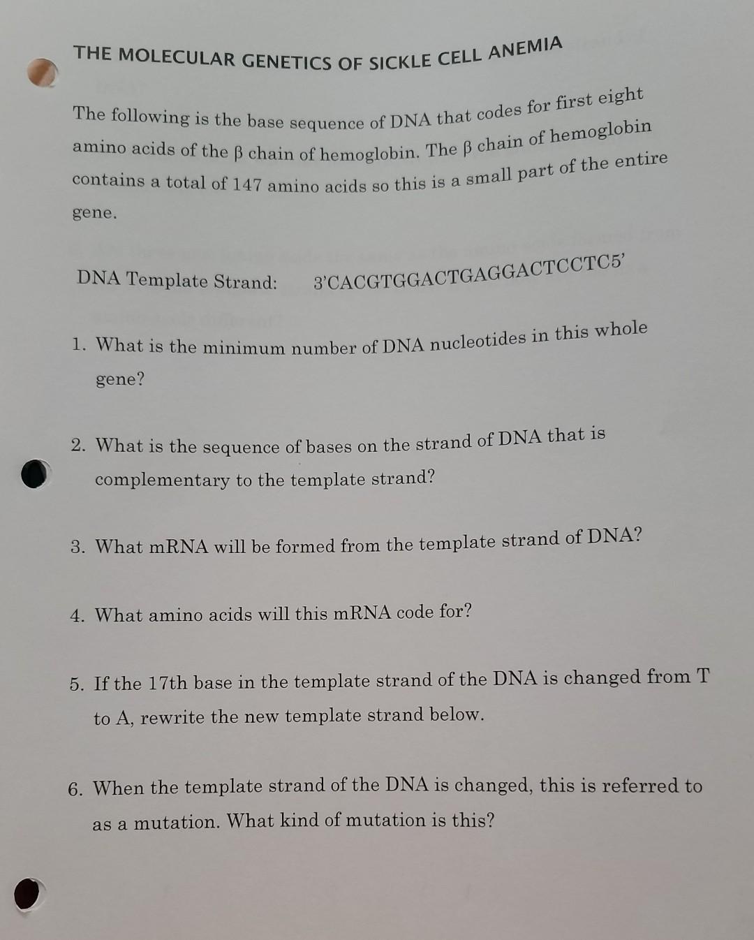 Solved THE MOLECULAR GENETICS OF SICKLE CELL ANEMIA The | Chegg.com