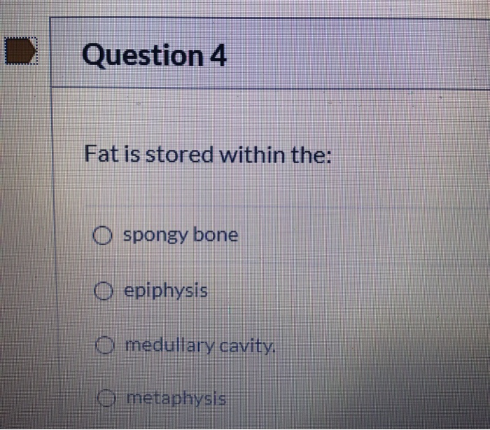 Solved Question 4 Fat is stored within the: spongy bone O | Chegg.com