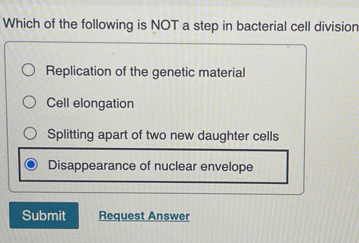 Solved Which of the following is NOT a step in bacterial | Chegg.com