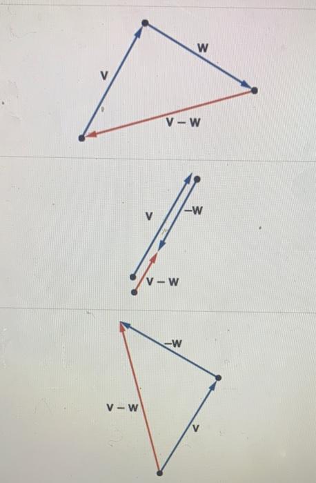 Solved Given the vectors v and w shown, which of the | Chegg.com