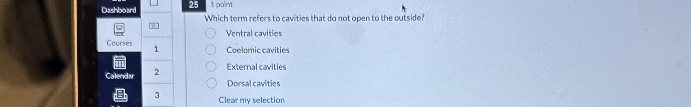 Solved 251 ﻿pointWhich term refers to cavities that do not | Chegg.com
