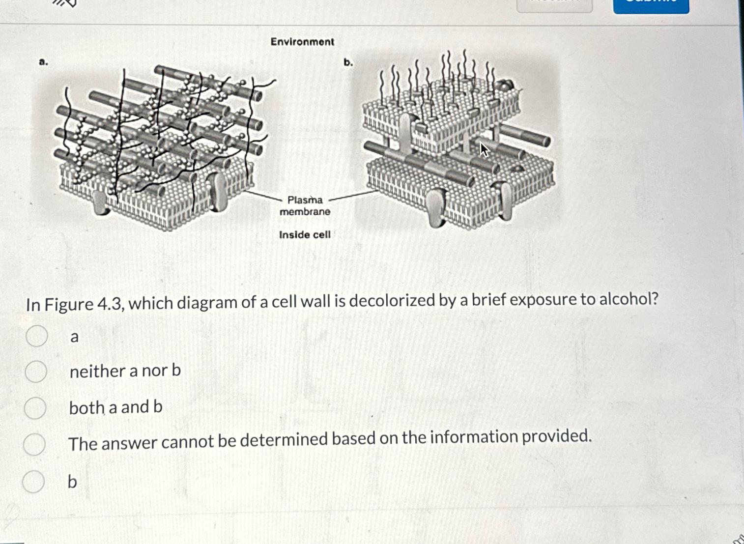 Solved Environmenta.In Figure 4.3, ﻿which diagram of a cell | Chegg.com