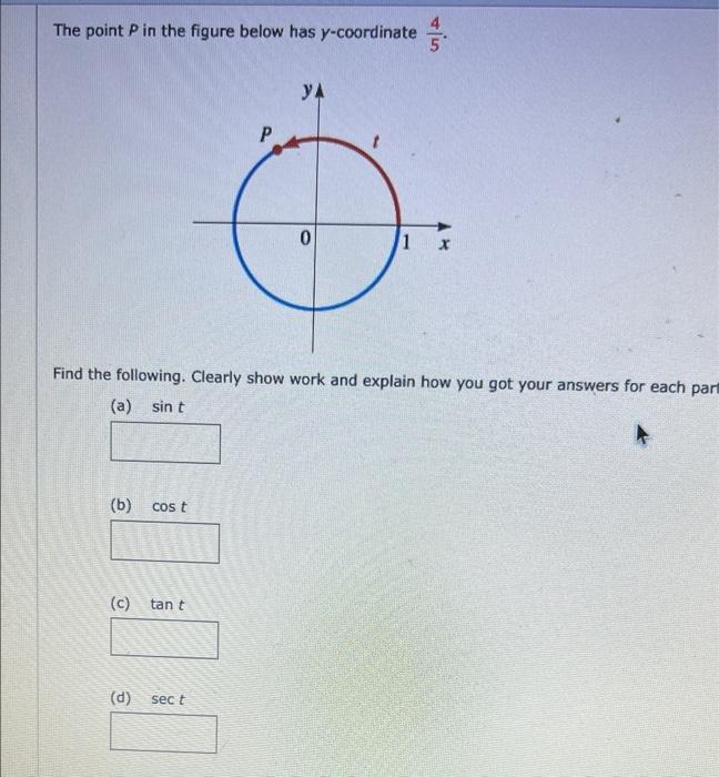 Solved The point P in the figure below has a y-coordinate | Chegg.com