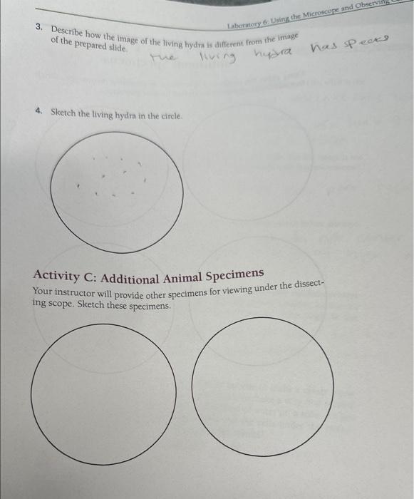 Solved 3. Describe how the image of the living hydra is | Chegg.com