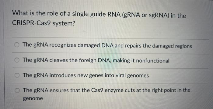 Solved What is the role of a single guide RNA (gRNA or | Chegg.com