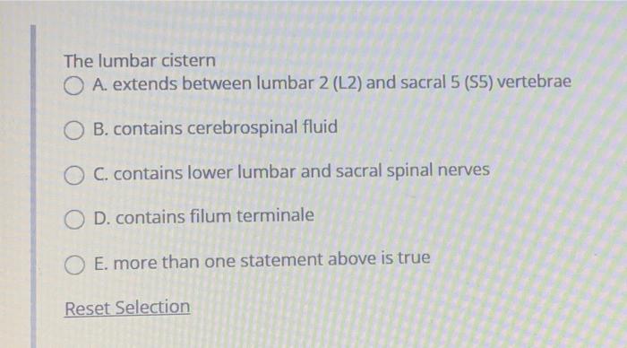 Solved The lumbar cistern A. extends between lumbar 2 (L2) | Chegg.com
