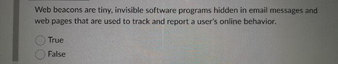 Solved Web beacons are tiny, invisible software programs | Chegg.com