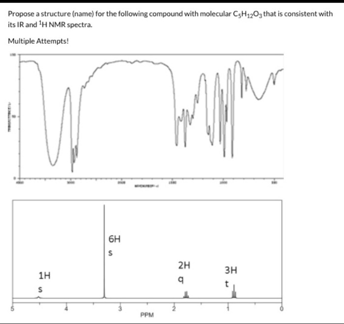 Solved Propose a structure (name) for the following compound | Chegg.com