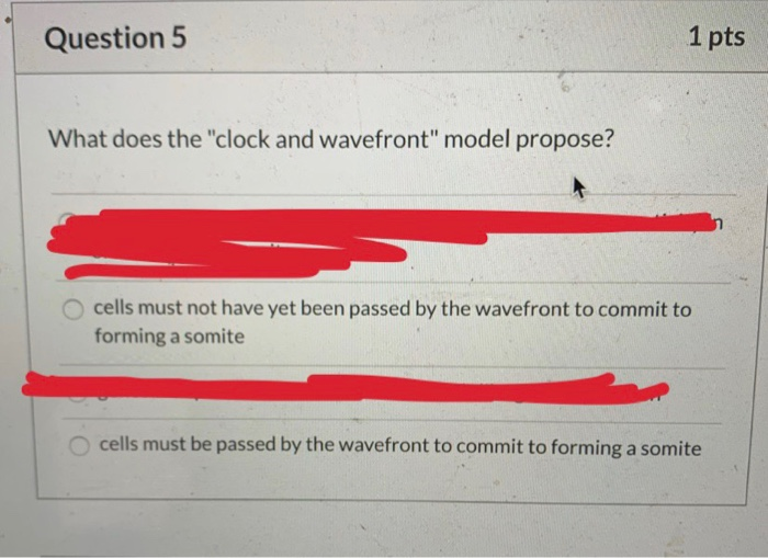 Solved Question 5 1 pts What does the "clock and wavefront" | Chegg.com