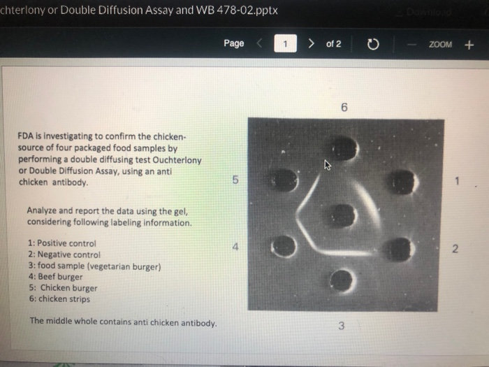 chterlony or Double Diffusion Assay and WB | Chegg.com