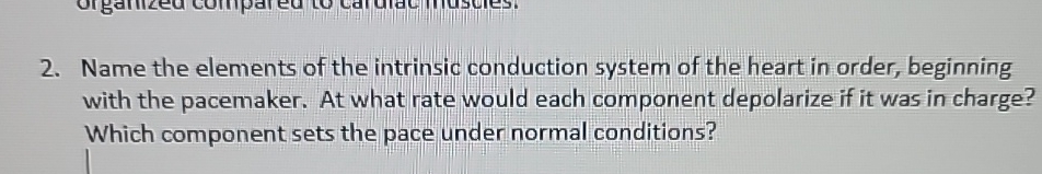 Solved Name the elements of the intrinsic conduction system | Chegg.com