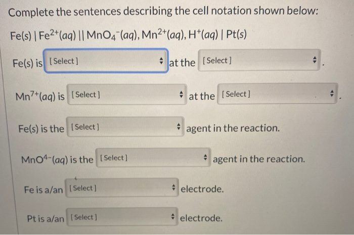 Solved Complete the sentences describing the cell notation | Chegg.com