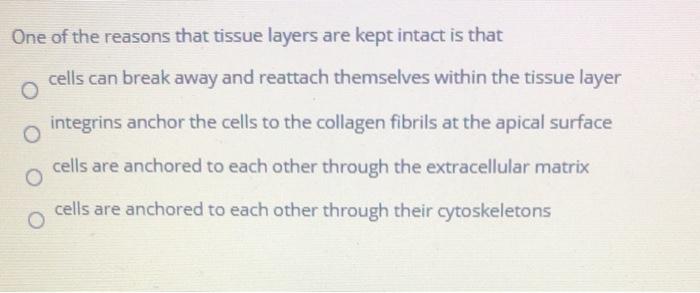 Solved One of the reasons that tissue layers are kept intact | Chegg.com