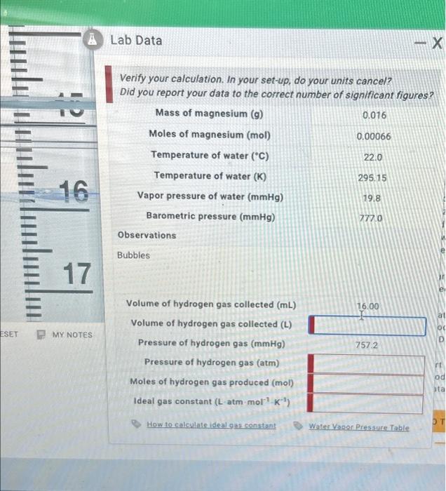 Solved Verify your calculation. In your set-up, do your | Chegg.com