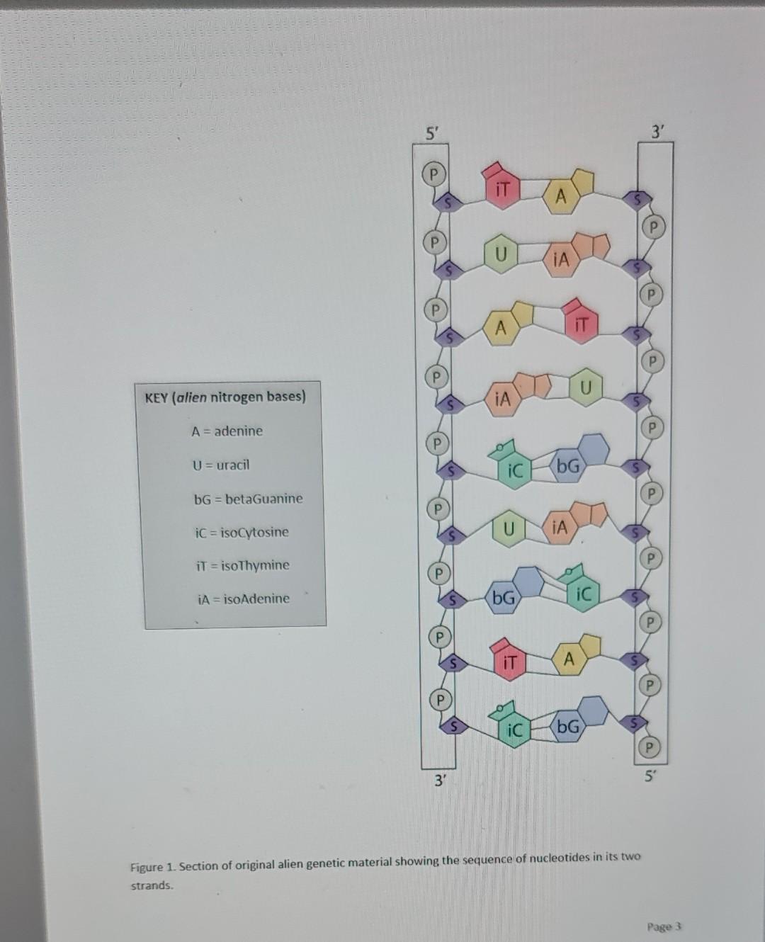 Solved Refer to the figures of alien nucleic acid in this | Chegg.com